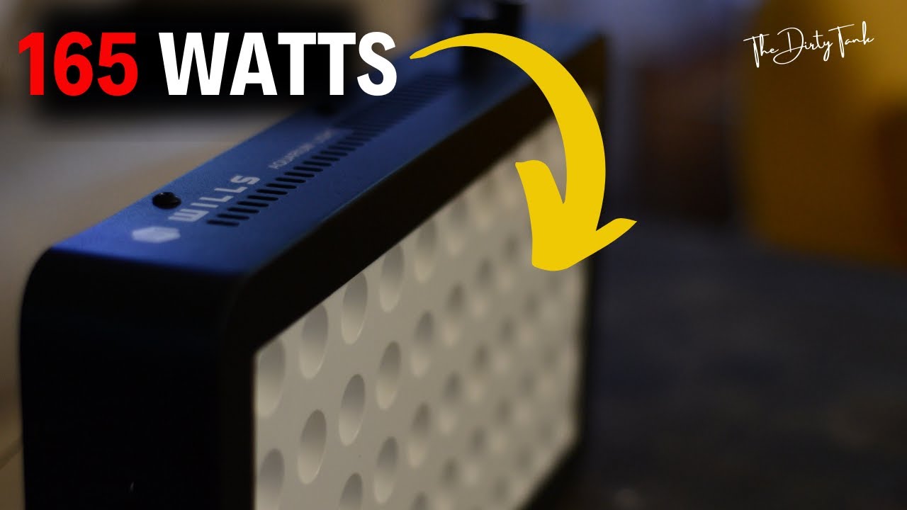 Wills Aquarium Light Review - My Thoughts - YouTube