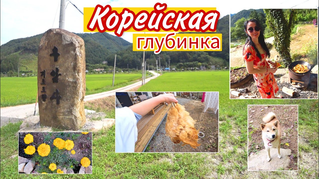 Поймали курицу и приготовили плов на костре ^^ KOREA VLOG - YouTube