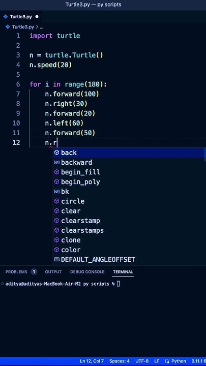 Python Programming Drawing Graphics Using Turtle Python Pythonprogramming Coding Shorts
