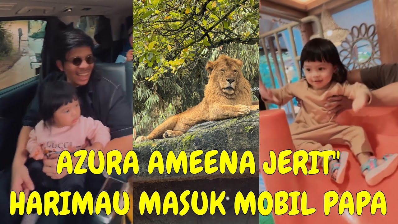 AZURA AMEENA JERIT" HARIMAU MASUK MOBIL PAPATTA - YouTube