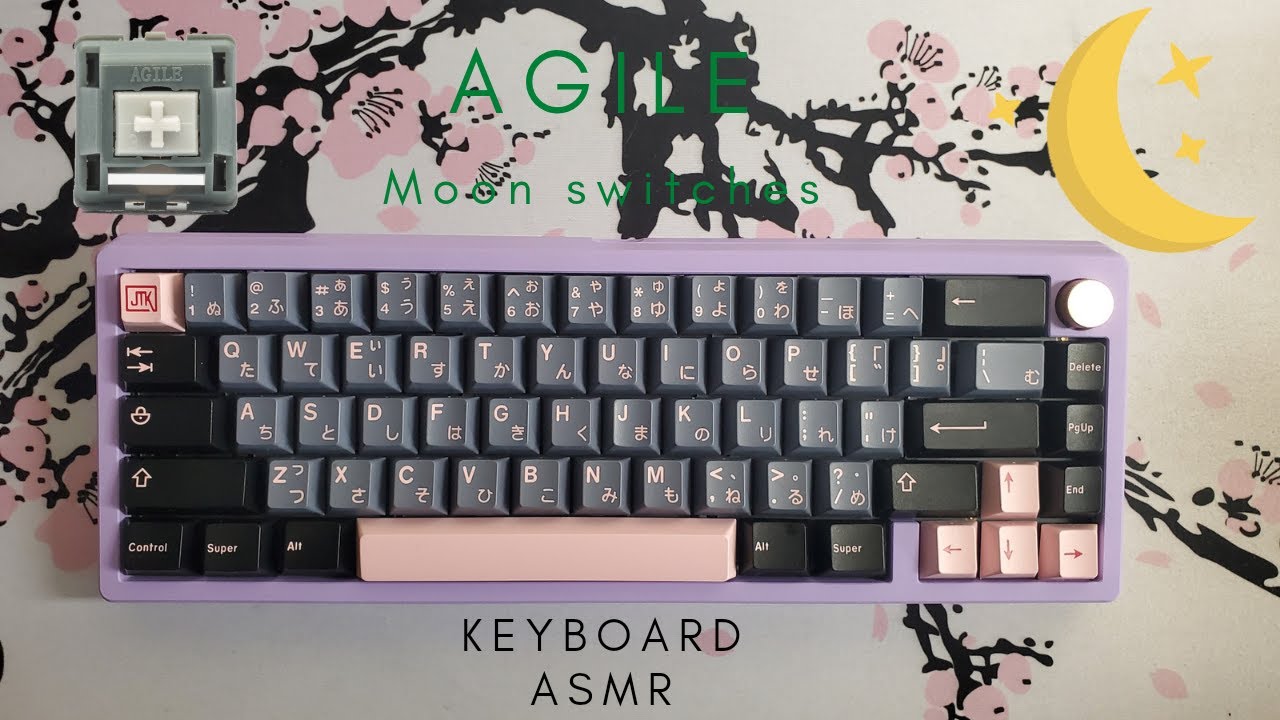 Meletrix Zoom 65 Essential / Agile Moon Linear switches Keyboard asmr ...