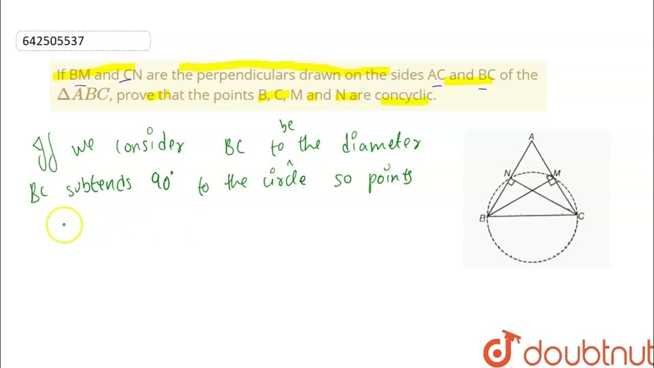 If BM and CN are the perpendiculars drawn on the sides AC and BC of the Delta ABC, prove that th ...