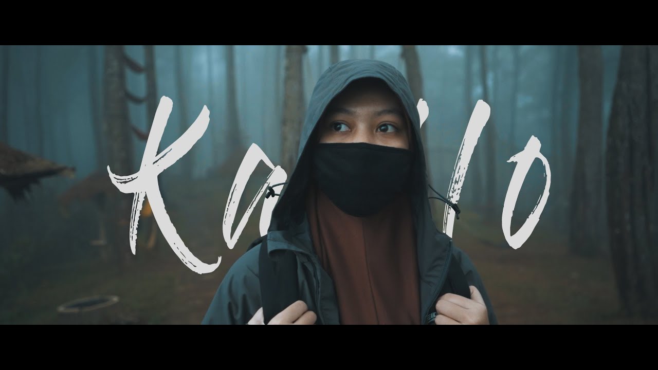 Hutan Pinus Kalilo Kaligesing Purworejo | Kenormalan Baru - YouTube