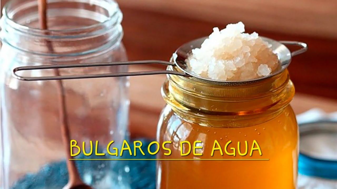 🦠🧊🥃BULGAROS O TIBICOS DE AGUA 🤤 Deliciosa y nutritivamente refrescantes ...