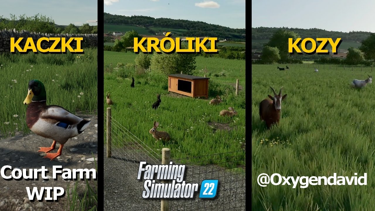 Farming Simulator 22 - "Court Farm" - 🐇króliki 🐐kozy 🦆 kaczki - Nowa ...