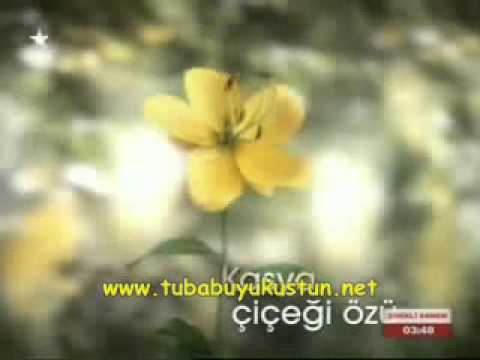 Tuba Büyüküstün - Pantene Reklamı / 08.08.2011
