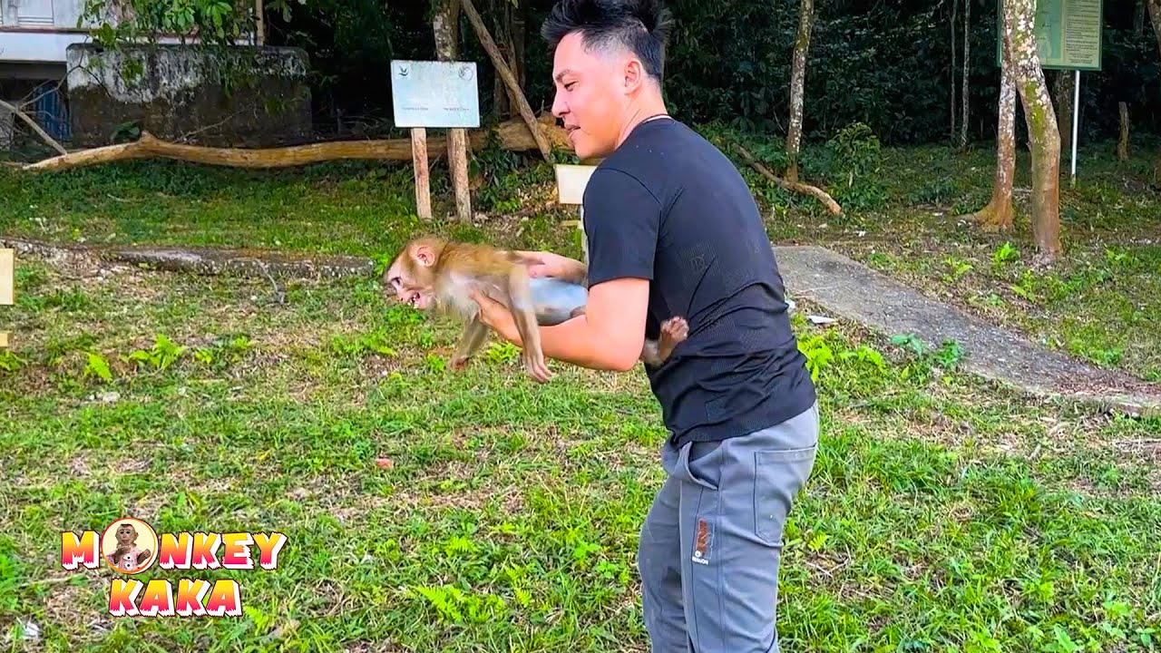 The moment of farewell between Monkey Kaka and Dad made everyone cry ...