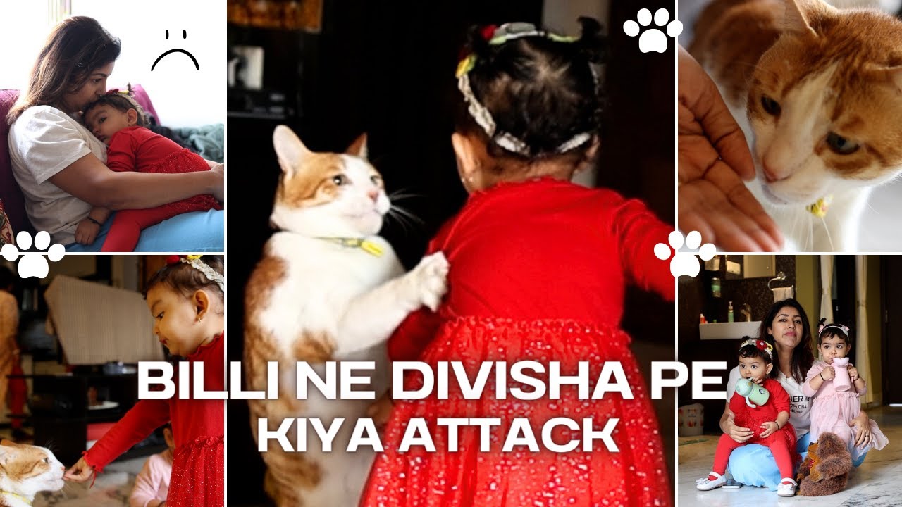 Billi se khelna pad gaya bhaari | Kolkata patr 1 | HINDI | WITH ENGLISH ...