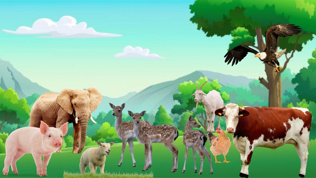 Farm and wild animal sounds - cow, horse, chicken, pig, deer, elephant ...