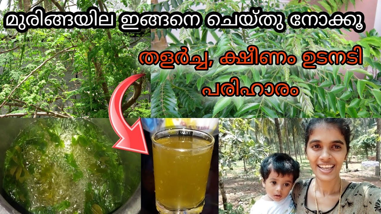 Drink To Increase Hemoglobin Level|Natural Home Remedies|Moringa Leaf ...