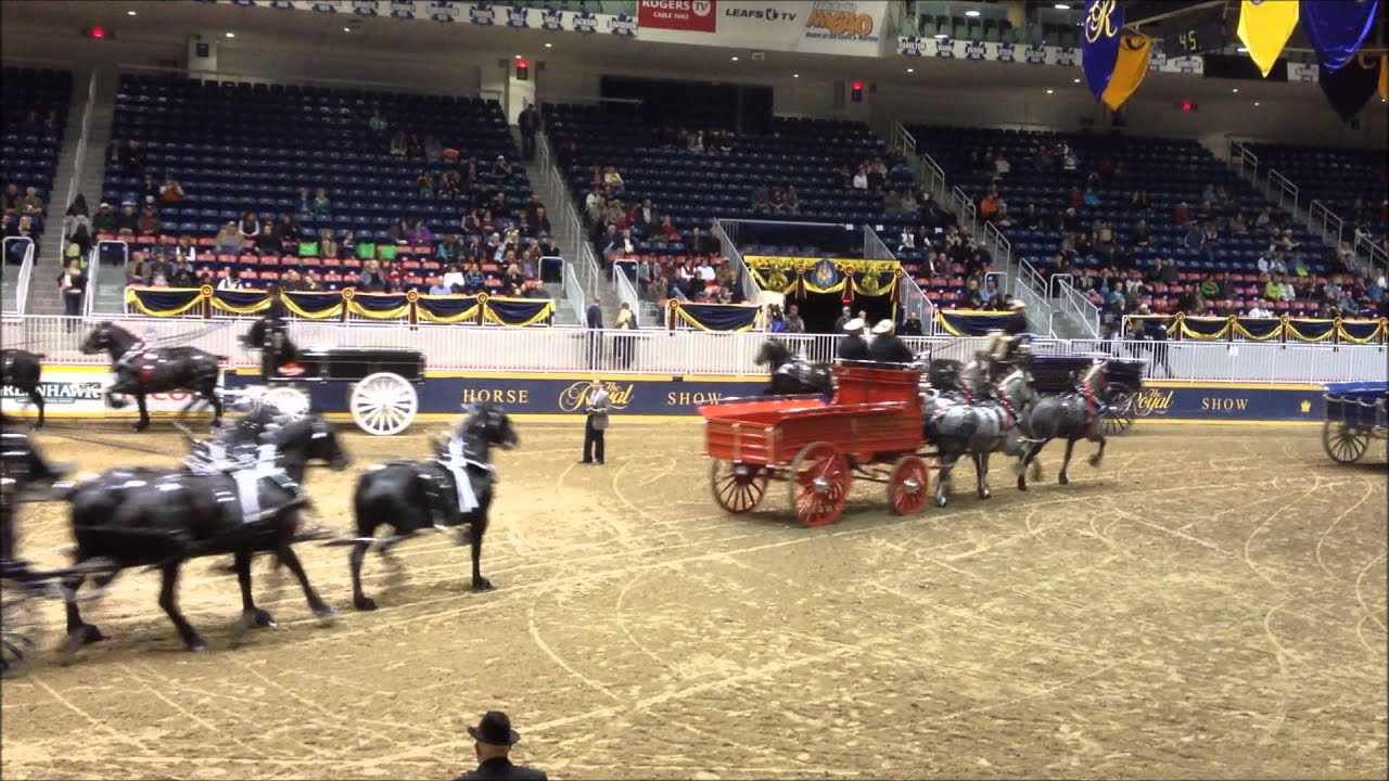 Royal Winter Fair Percheron Unicorn Hitch.wmv - YouTube