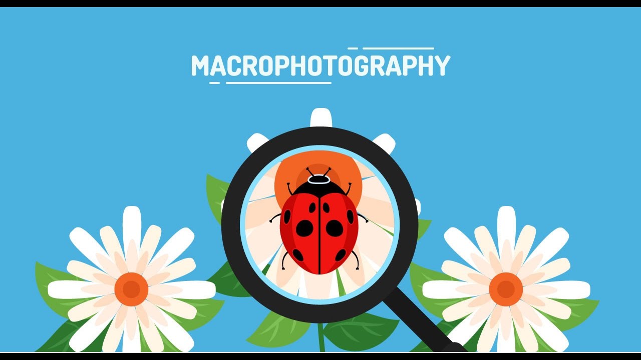 Apps Explainer Video for Easy Macro | Cartoon Animation - YouTube