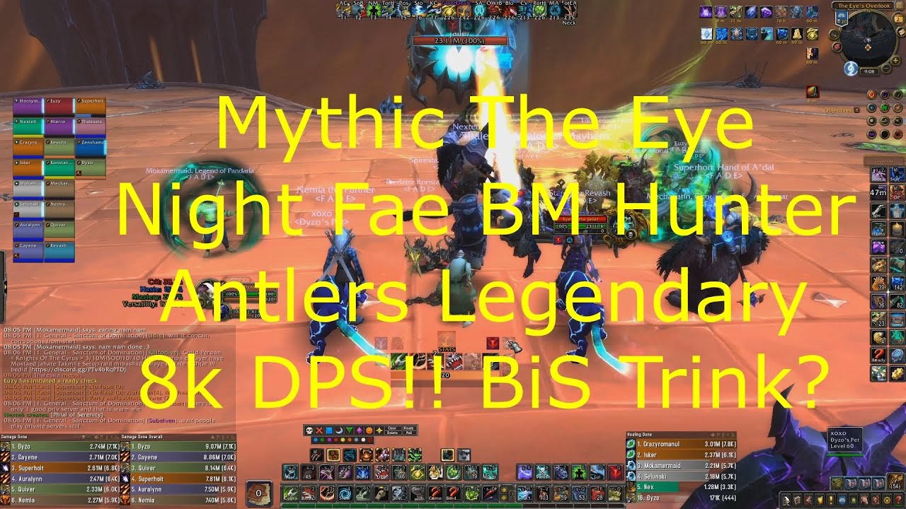 Mythic The Eye - 8k DPS - Night Fae BM Hunter - BiS Trink Drop - 99% ...