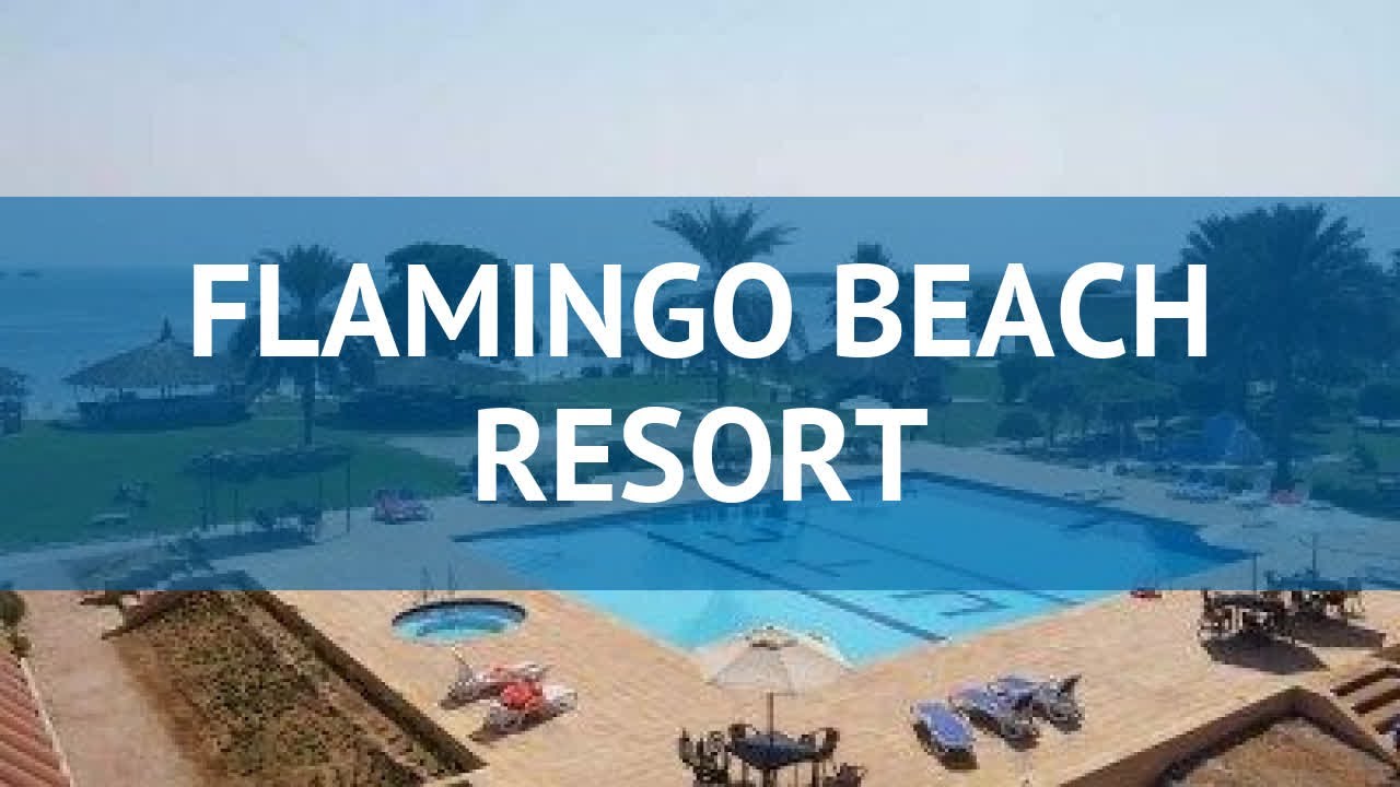 Bin majid flamingo beach resort | Taler-travel.ru