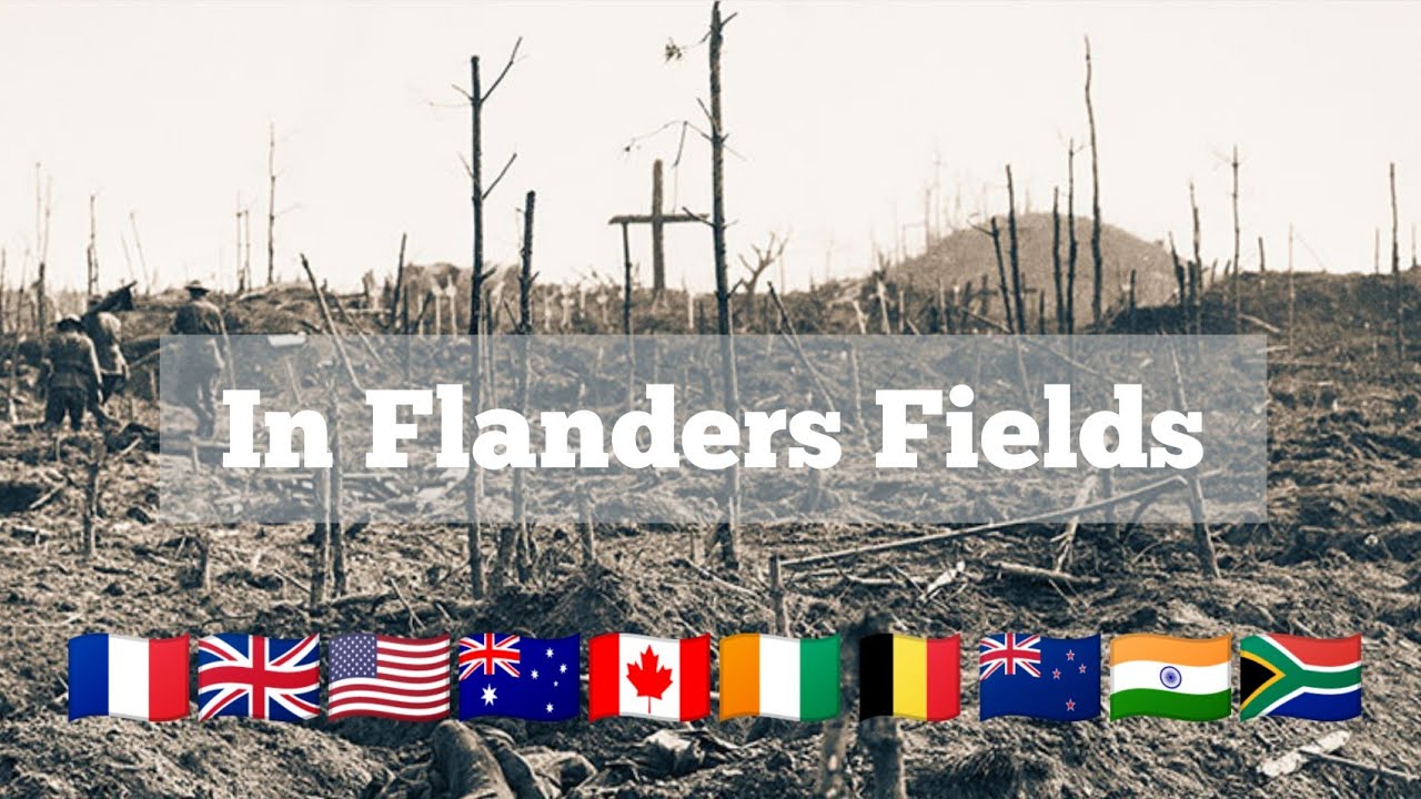 In flanders Fields, Remembrance day, (Graphic content: Not for the ...