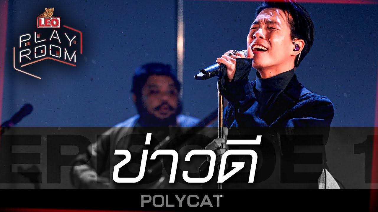 ข่าวดี - POLYCAT | LEO Playroom - YouTube