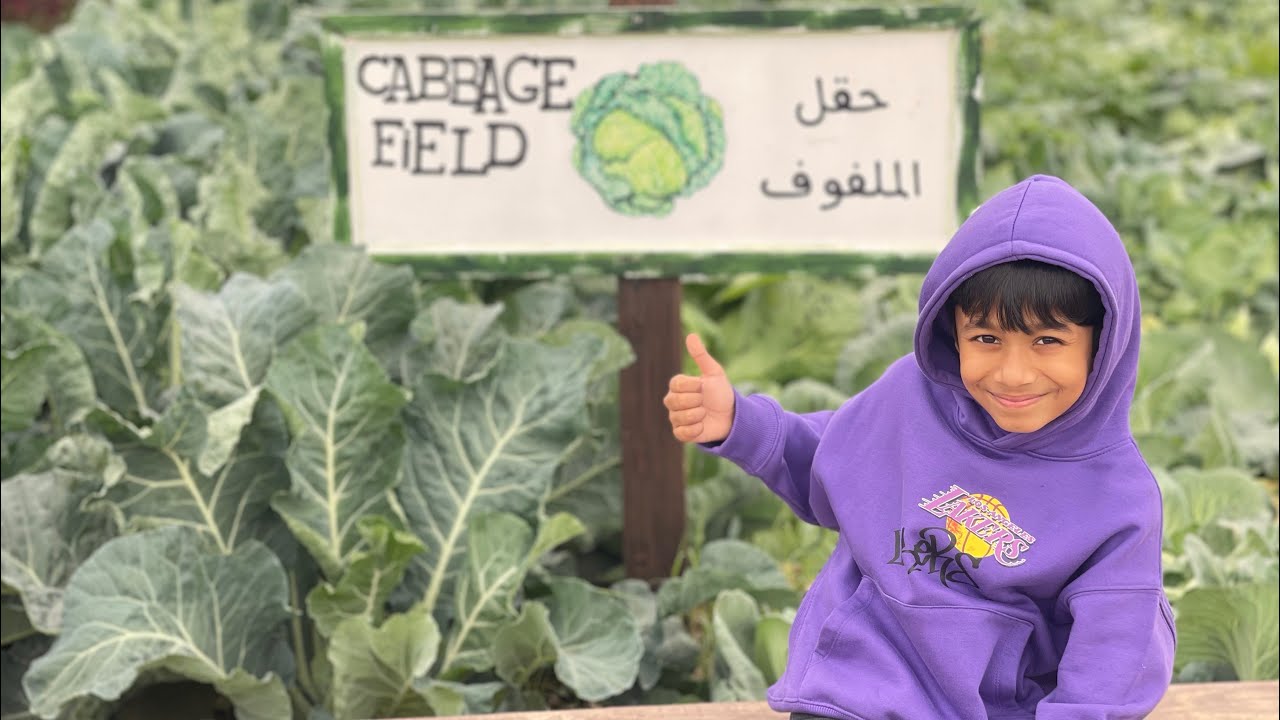 Abdali Farms Kuwait - YouTube