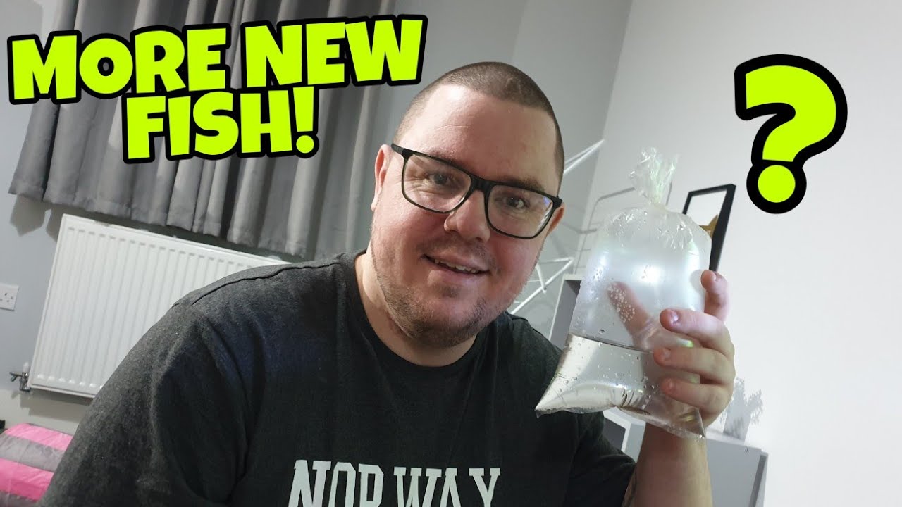 MORE NEW FISH! 🤷🏻‍♂️ - YouTube