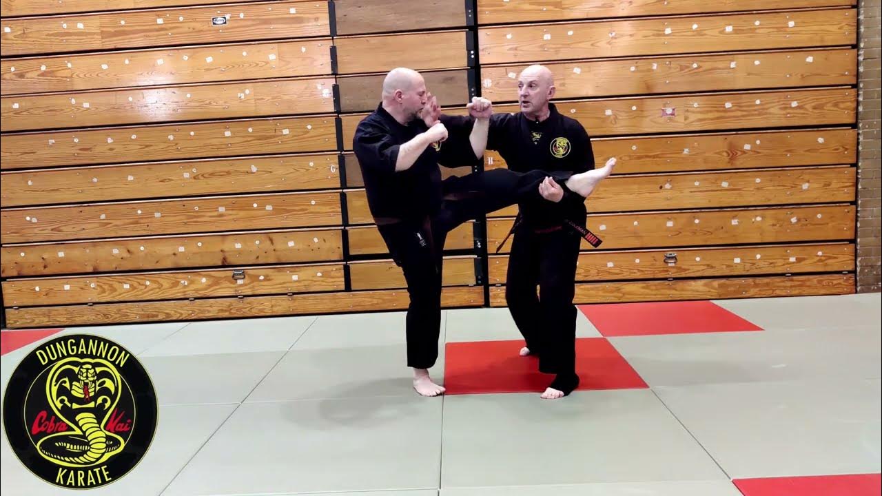 Applied Karate - Dealing with The Front Kick Using Rohai Kata Applications - YouTube