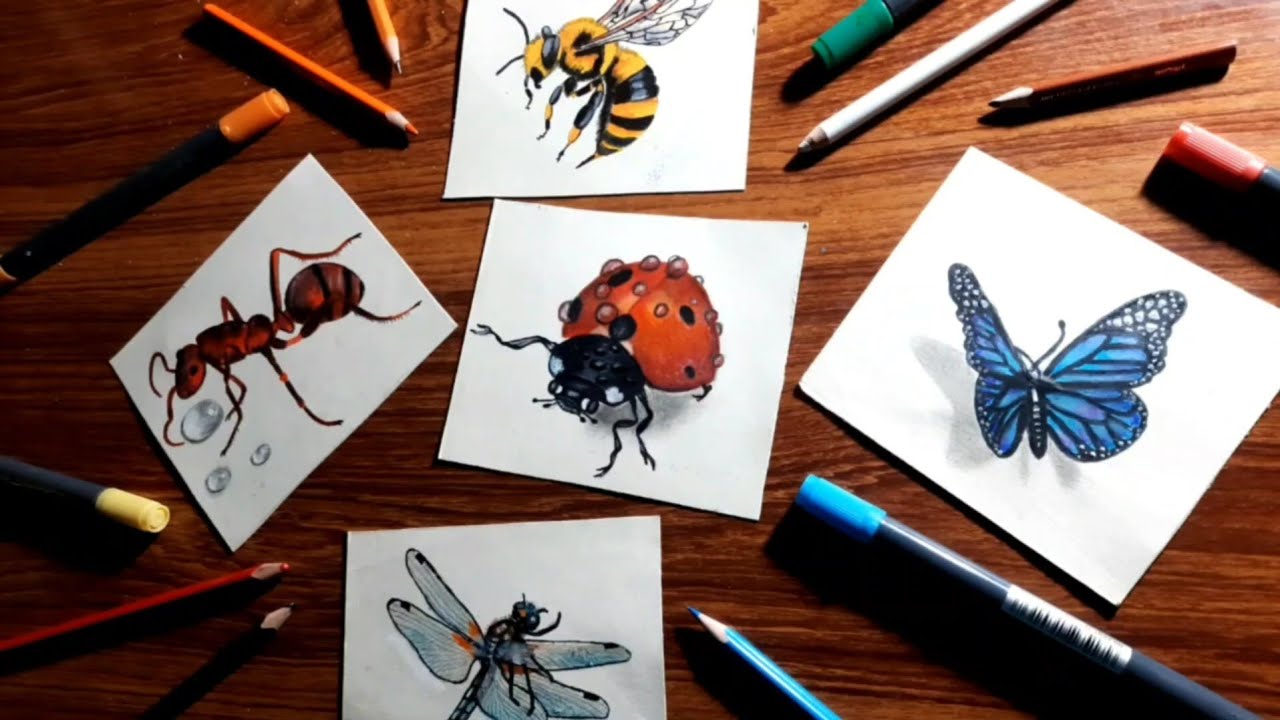 How to draw Ladybird / Butterfly / Bee / Dragonfly / Ant - YouTube