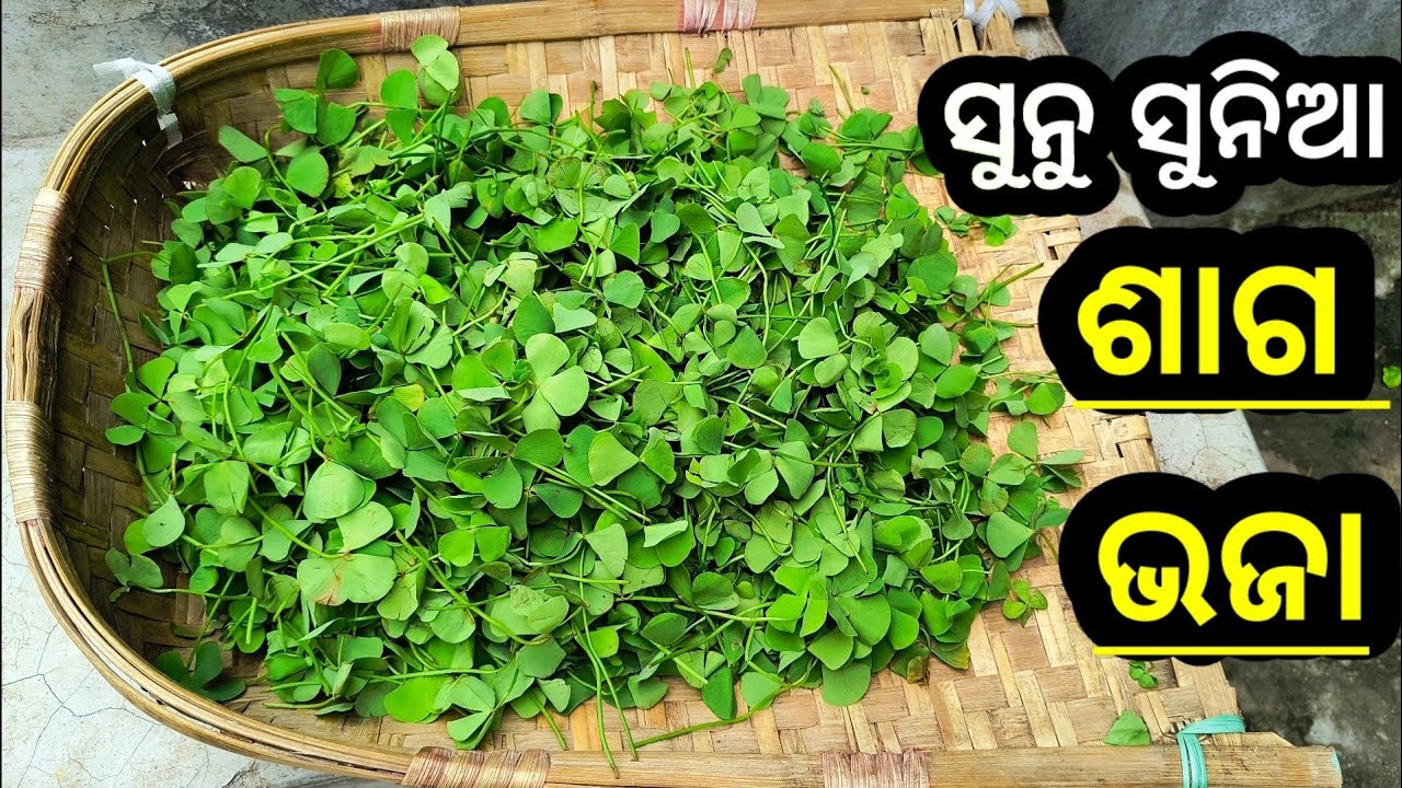 ସୁନୁ ସୁନିଆ ଶାଗ ଏମିତି ଭାଜିଲୁ || sunu sunia saga bhaja - YouTube