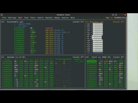 Radare2 Series 0x4 - Debugging Part 2 OllyDBG Look and Feel with R2 Panel View - YouTube