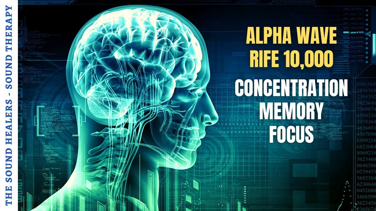 "The Genius Brain " Rapidly Improve Brain Function Memory Concentration ...