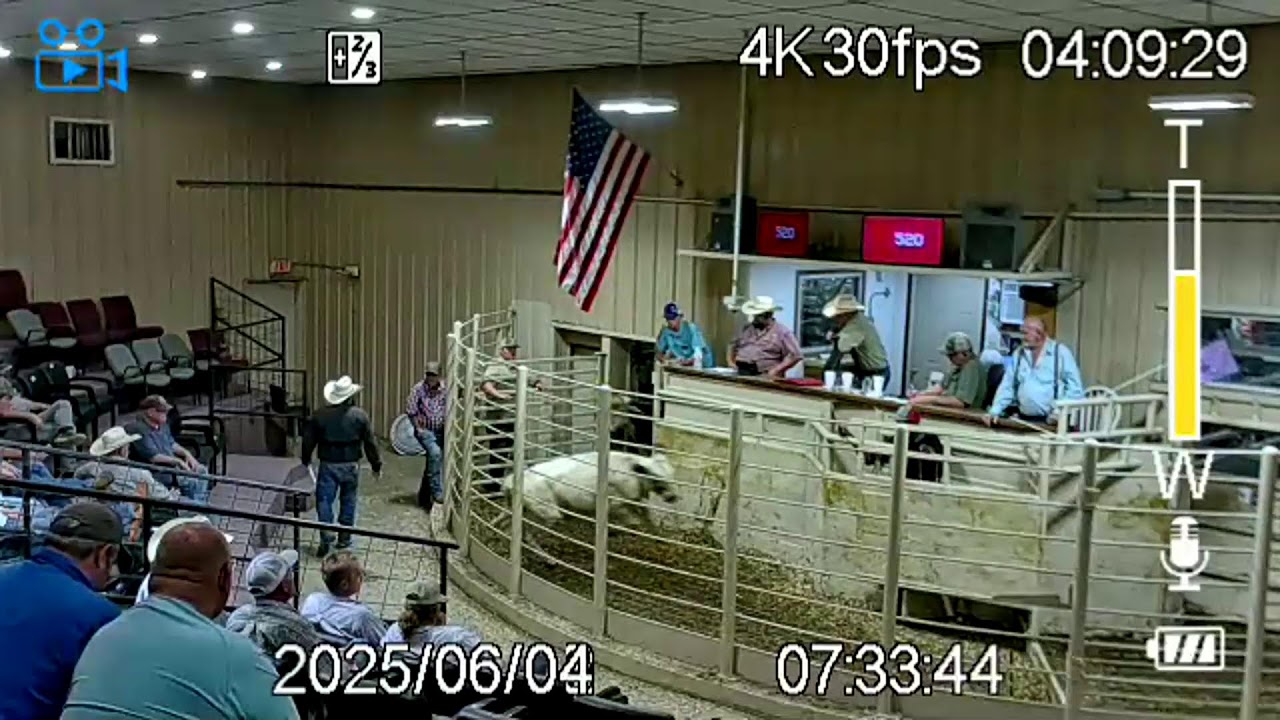 Red River Livestock LLC - YouTube