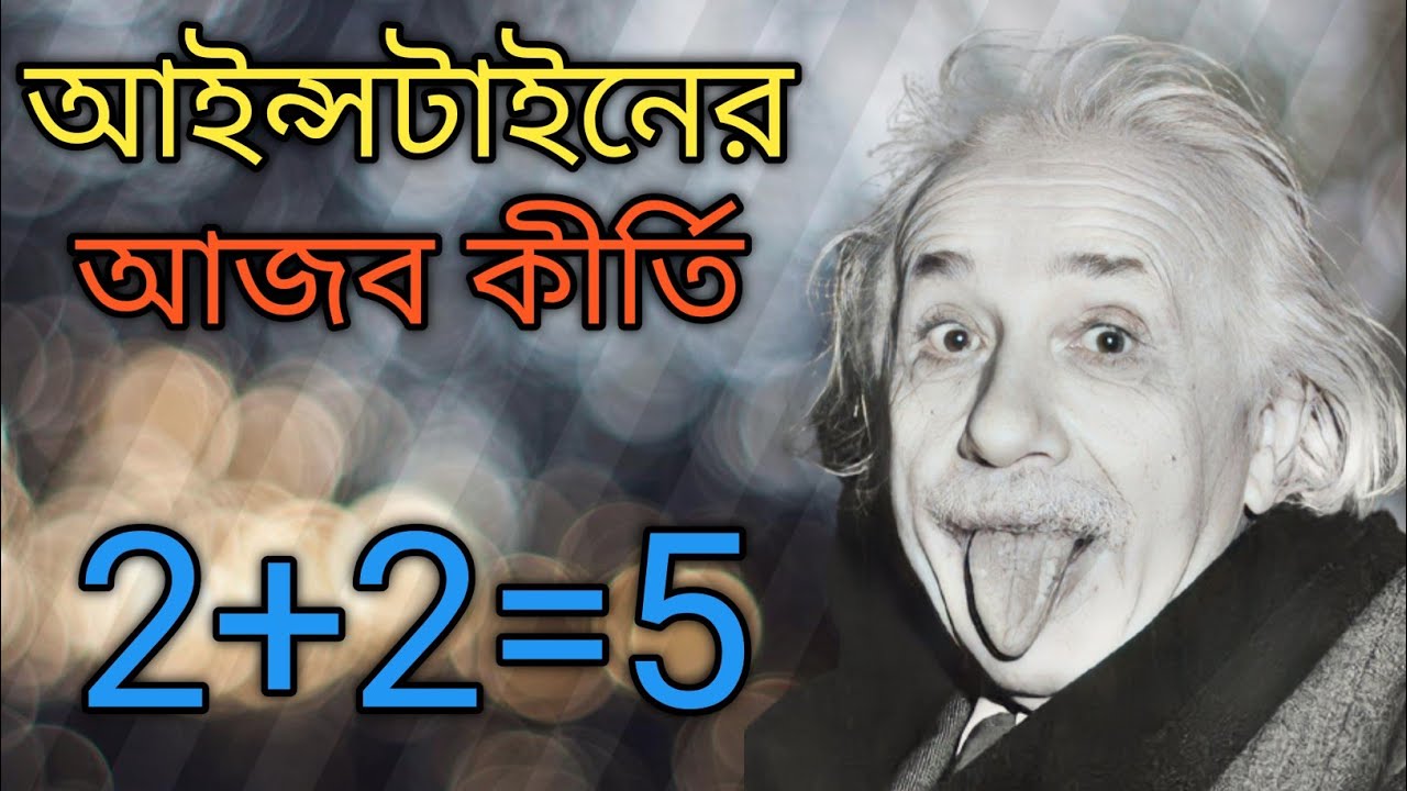 Albert Einsteins Brains Wtf Fun Facts Facts