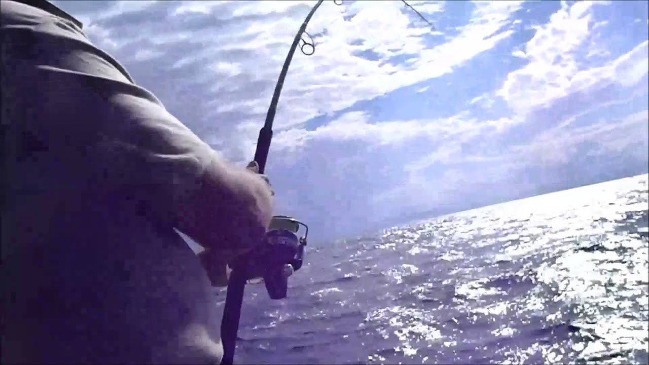spinning tuna catch and release - YouTube