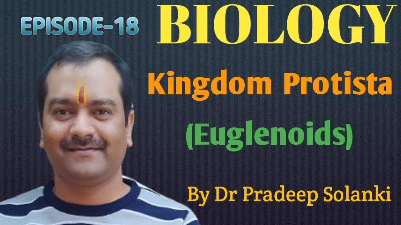 Kingdom Protista-Division Euglenophyta (Euglenoids) For Class 11&NEET ...
