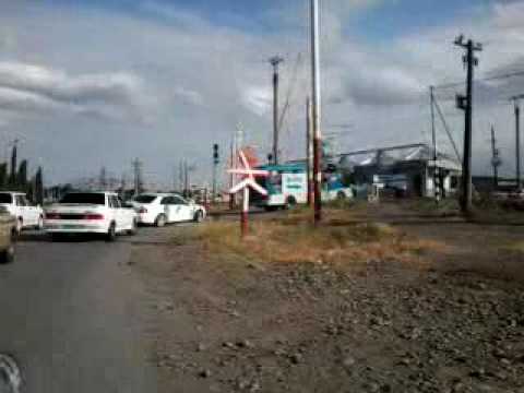 Gence Ayxan ve Nihat toy karvanı