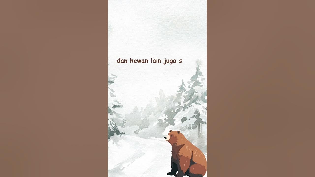 Hibernasi pada Beruang - YouTube