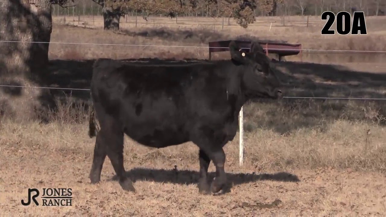 Jones Ranch Lot 20A - YouTube