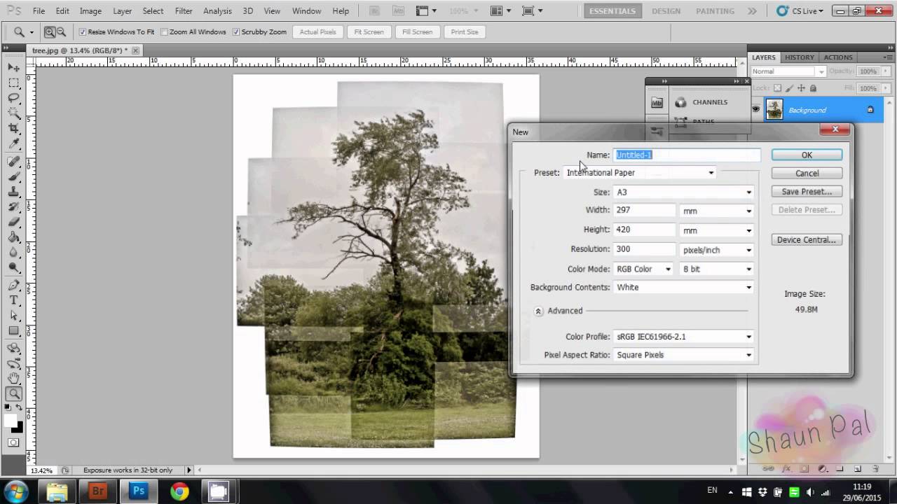 Tree Photo Collage Speed Edit - YouTube