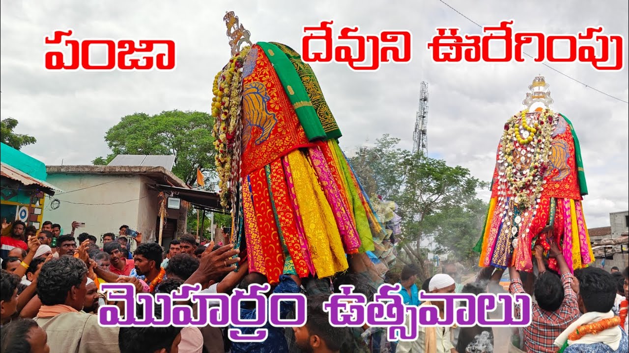 PANJA DEVUNI SARIGETHU || PANJA DEVUNI UREGIMPU || #punjumeraguda # ...