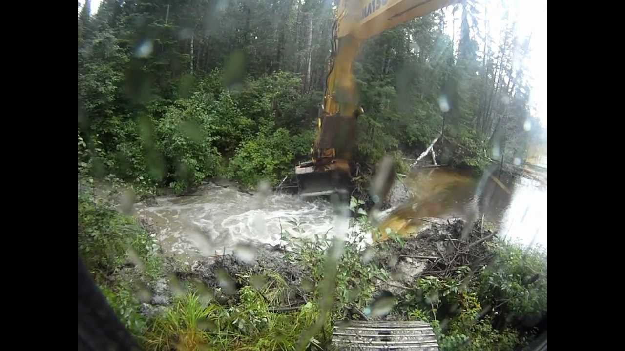 Breaking another beaver dam part 1 - YouTube