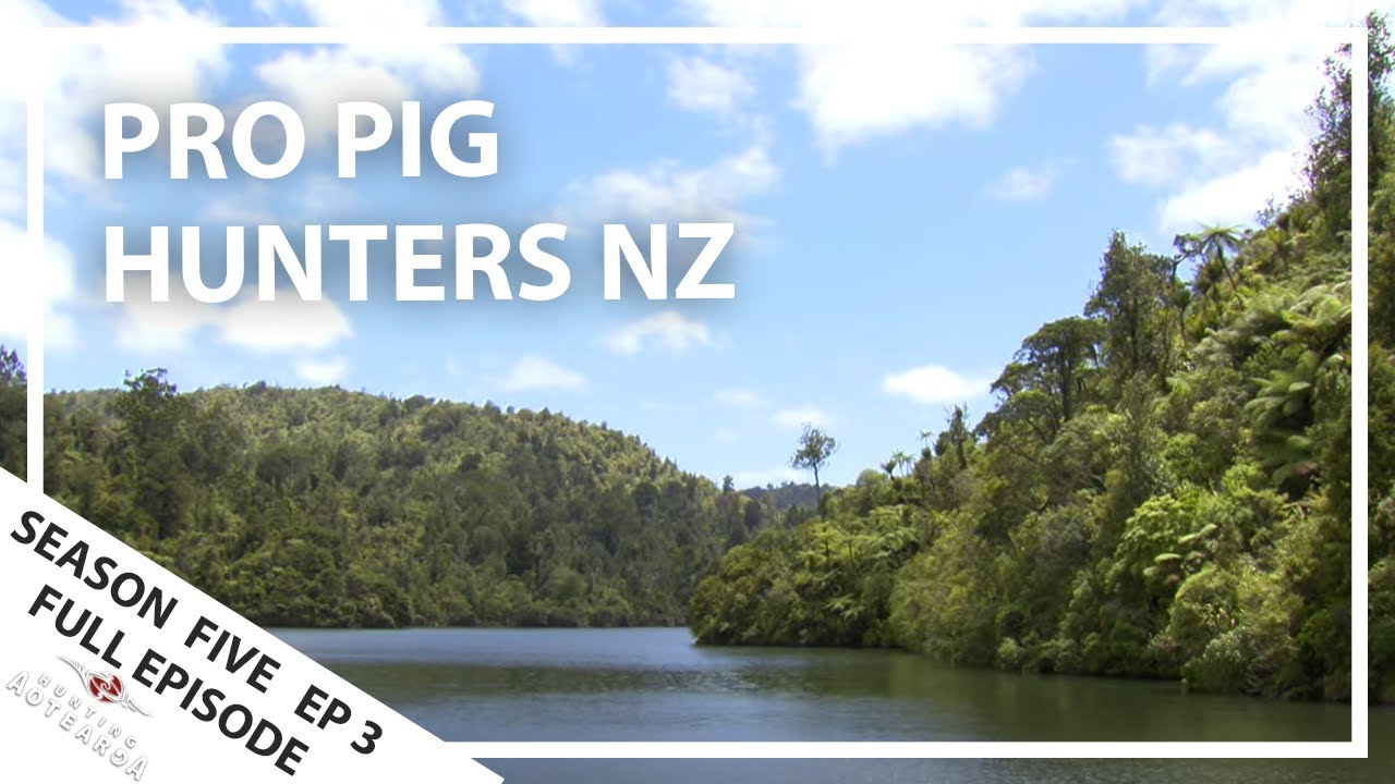 Hunting Aotearoa Series 5 Ep03 Pig Hunting Professionals - YouTube