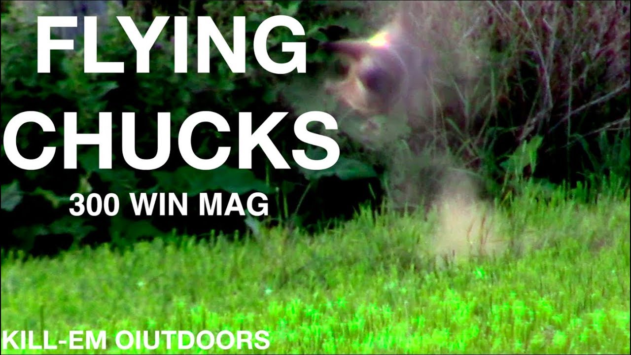 Groundhogs Can Fly!? - YouTube