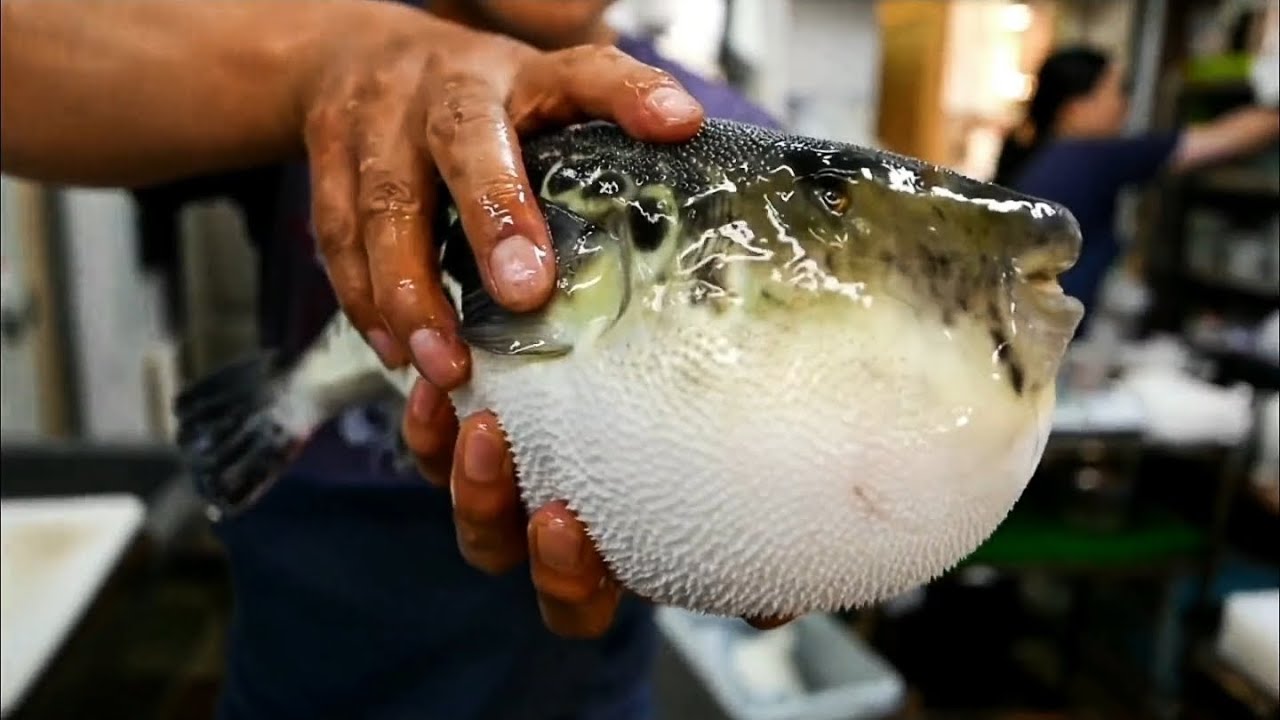 The craftsmanship of the seafood chef at a Japanese restaurant!Fresh ...