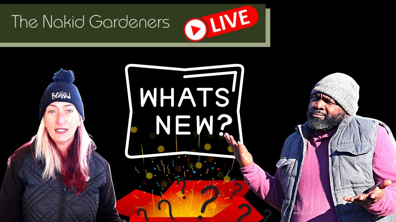 🔴The Nakid Truth : New Stuff Behind The Scenes - YouTube