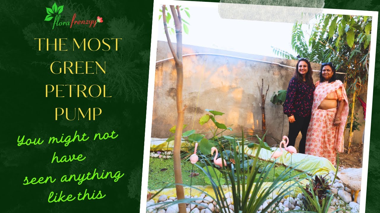 Most Green Petrol Pump, BPCL Petrol Pump, Landscape design for BPCL ...