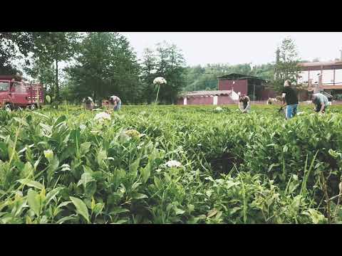 Erdal KALKAVAN - DOÇ