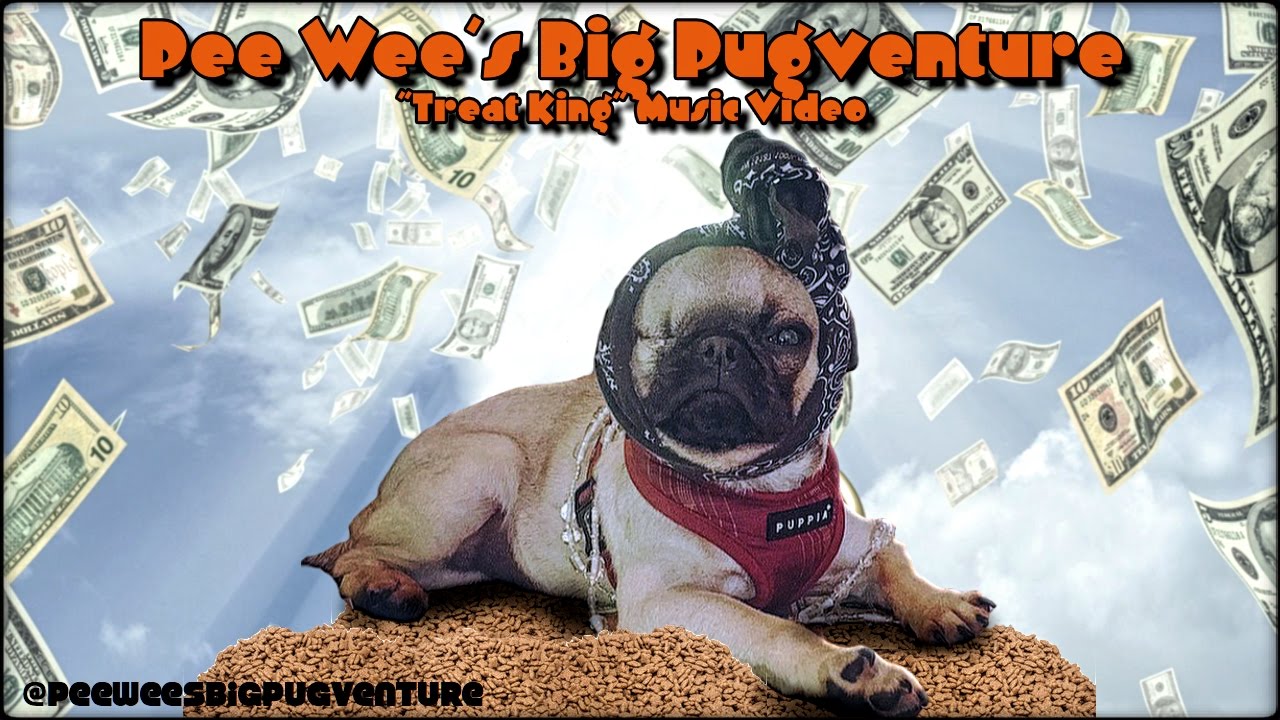 Pee Wee the Pug | Treat King Exclusive Video (Trap Queen Parody) - YouTube