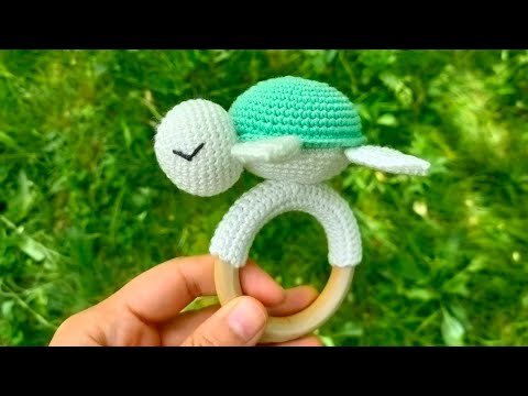 Kaplumbağa Diş Kaşıyıcı 1. Bölüm- Kabuk Gövde