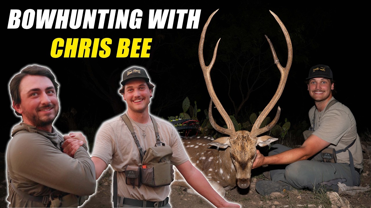SPOT & STALK ROARING AXIS with CHRIS BEE - YouTube