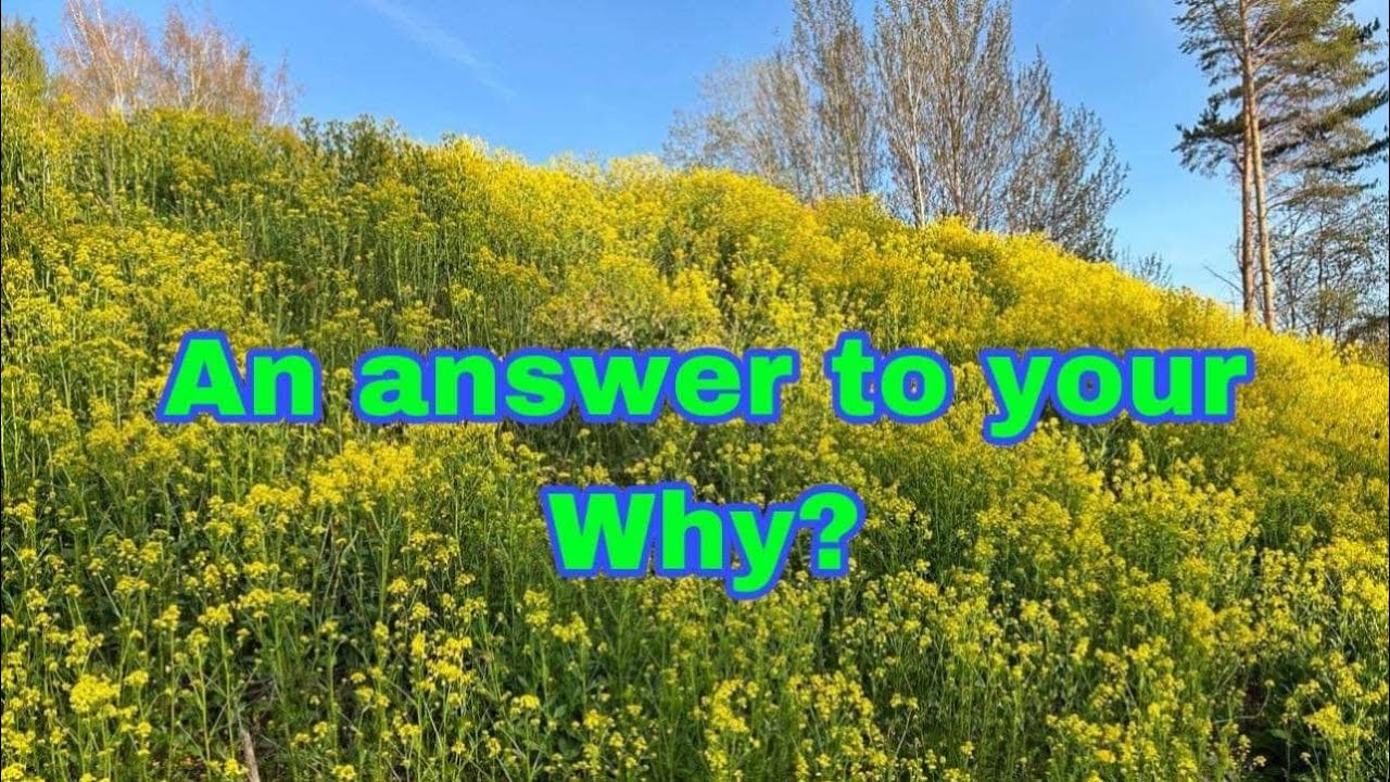 An answer your Why? - YouTube