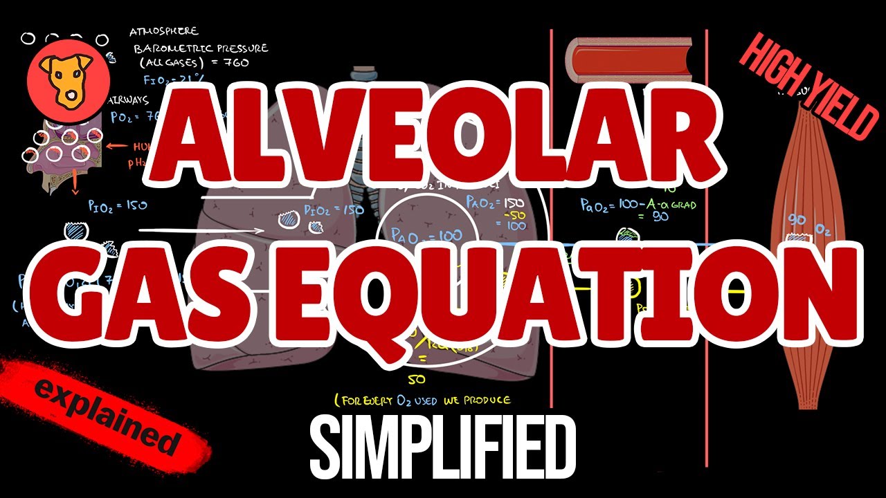 Alveolar Gas Equation Simplified for Exams: Ace Your USMLE Step 1 - YouTube