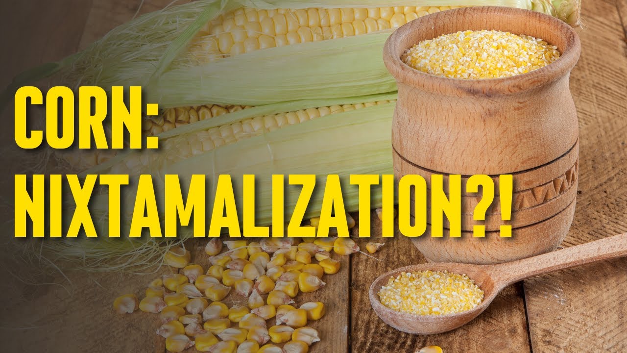 Corn: An Introduction & History | What is Nixtamalization? | How to ...
