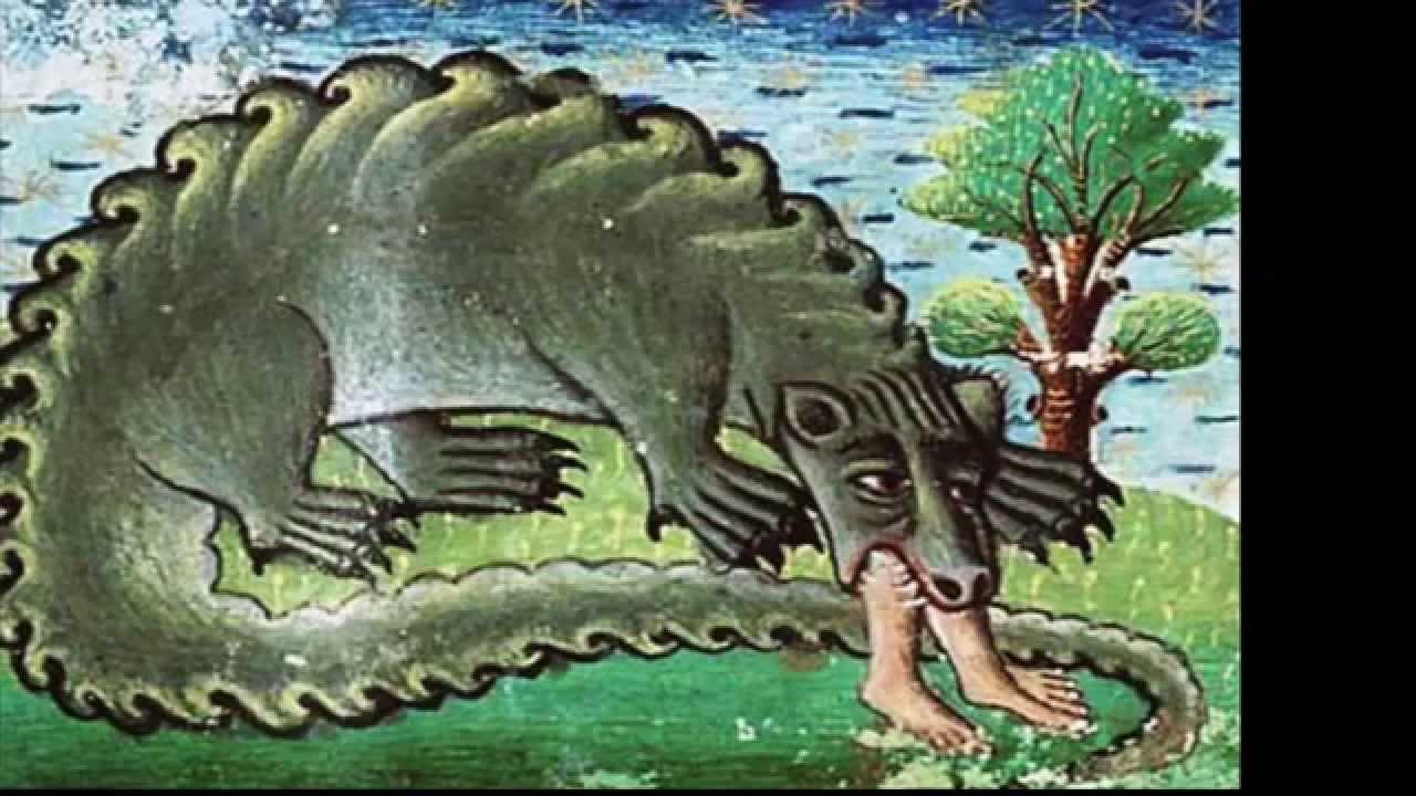 LOS ANIMALES MAS MISTERIOSOS - YouTube